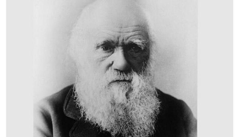 "Darwin estuvo aquí", a 190 años de su viaje a Uruguay realizan muestra ...